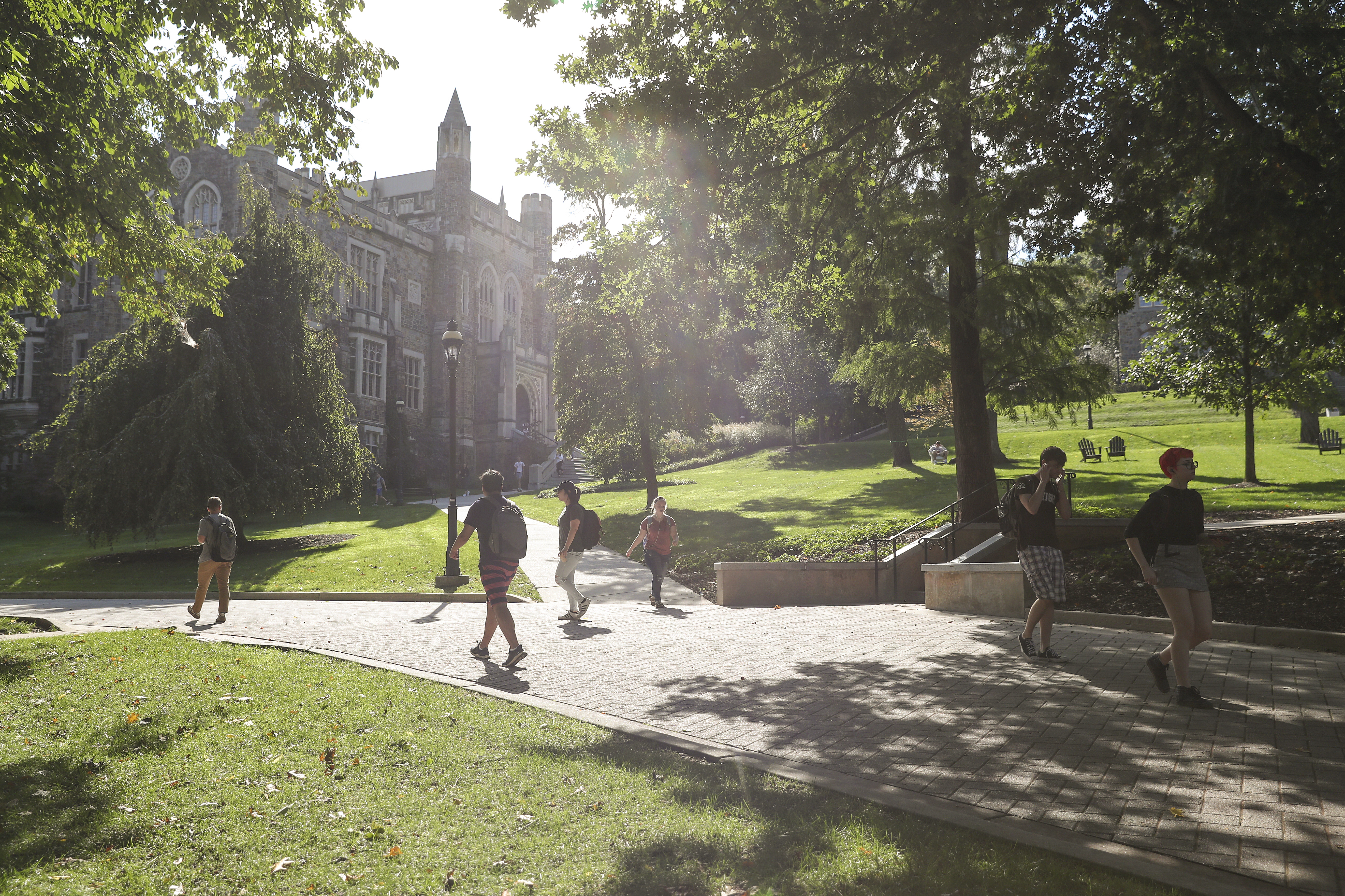 Climate Action Strategy | Sustainability